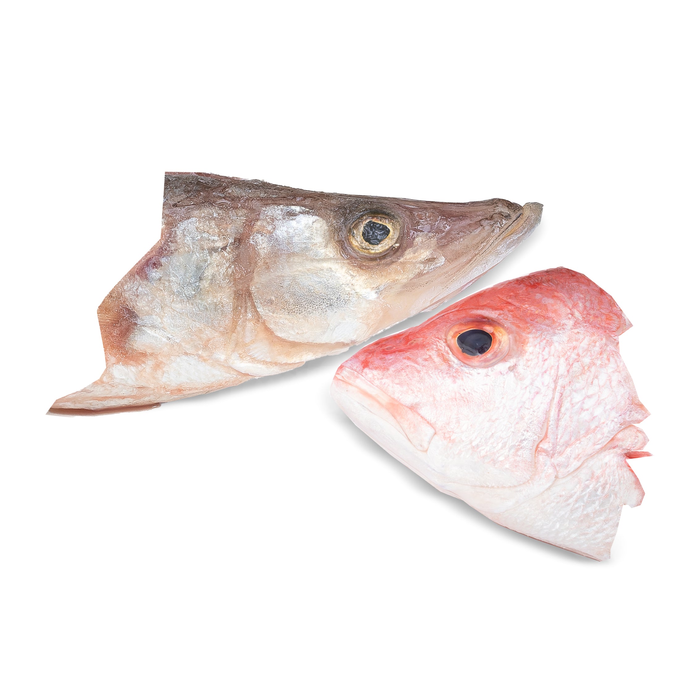Retazo de pescado róbalo/huachinango - Marite Venta de Pescados y ... Retazo de pescado róbalo/huachinango - Marite Venta de Pescados y ...